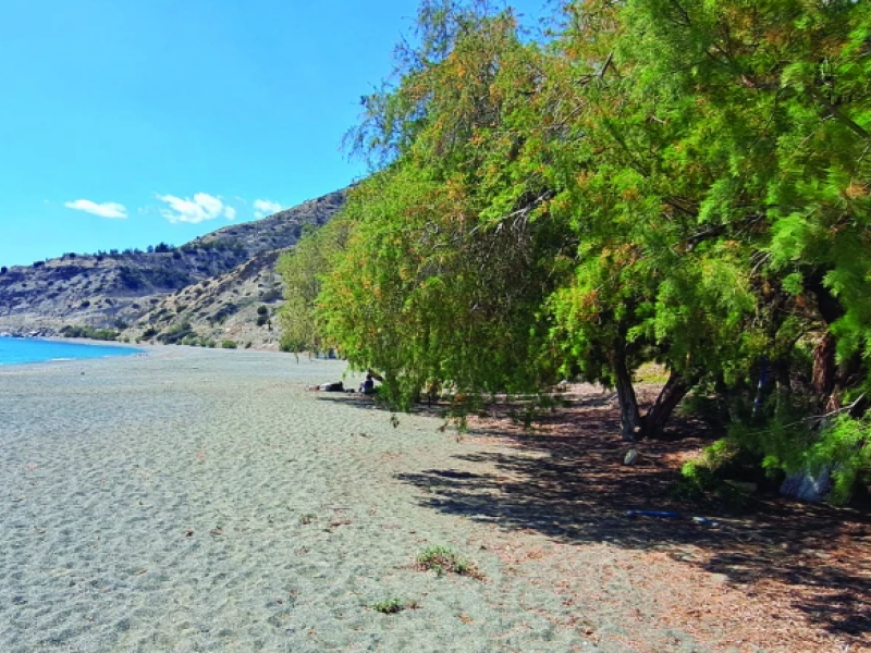 Άφησε την δικηγορία και επέλεξε να ζήσει σαν χίπις στον Μύρτο (Βίντεο) | Alfavita